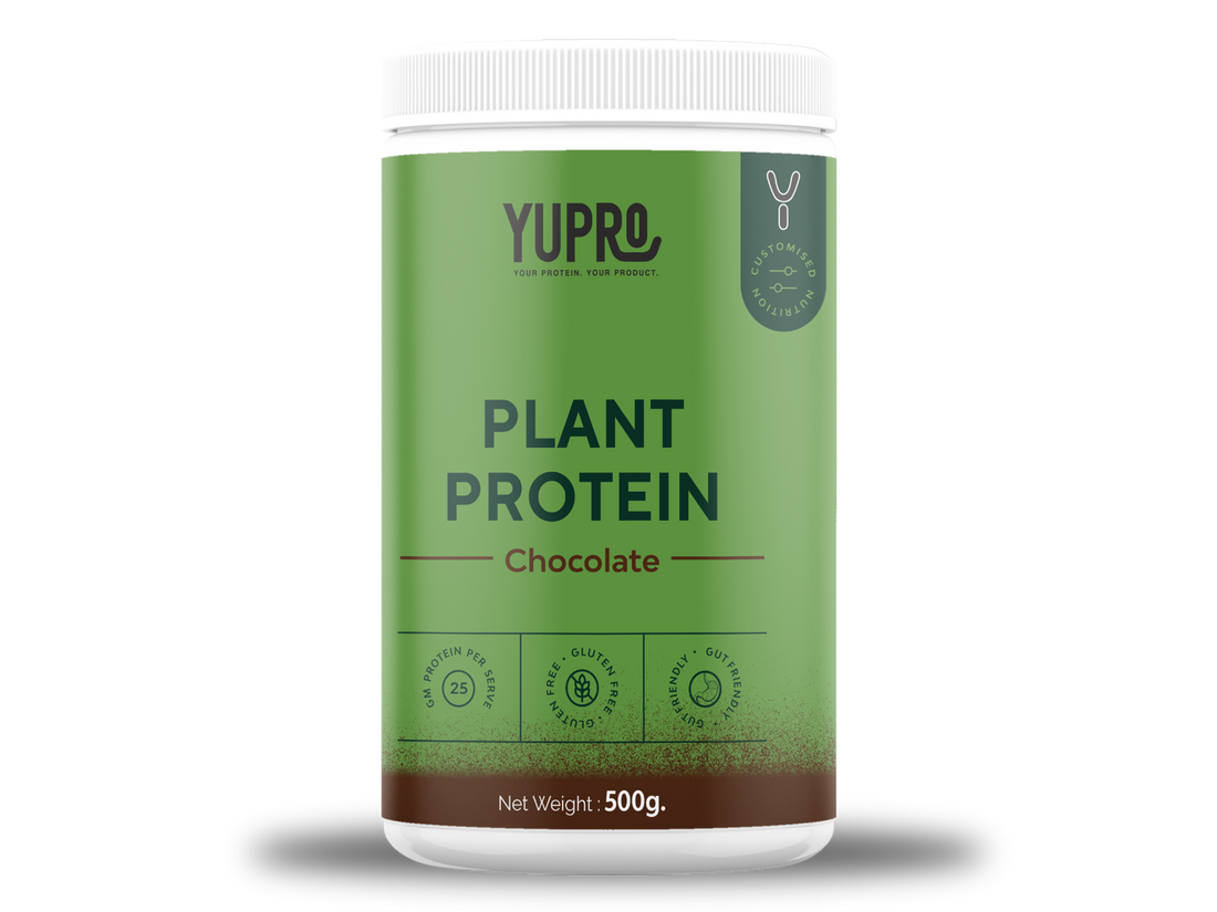 Chocolate Plant Protein Powder_500g – www.pepperhealth.in